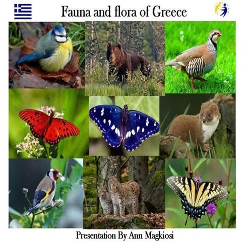 Greek fauna and flora | PPT