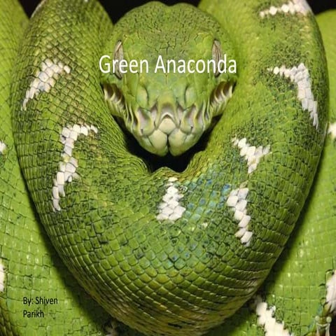 Green anaconda | PPTX
