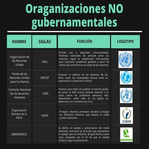 Organizaciones No gubernamentales | PDF