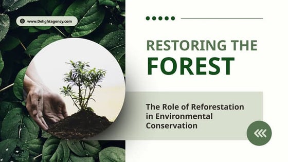 SAVE TREES SAVE LIFE.pptx | Environment | Science