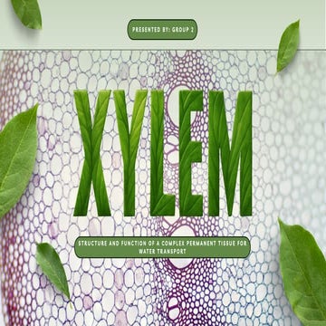 Green and Neutral Clean Ecosystem Website Presentation.pdf