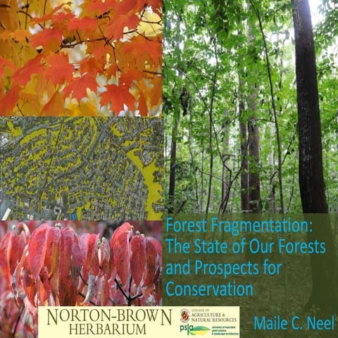 Forest Fragmentation: The States of Our Forests & Prospects for ...