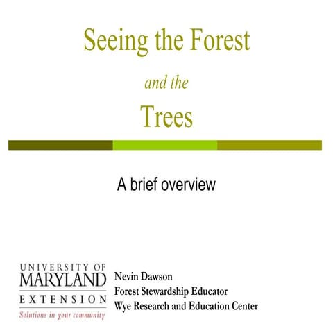 Seeing the Forest and the Trees | PPT