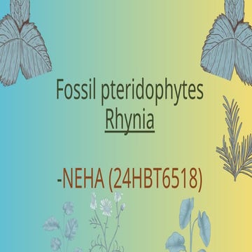 Paleobotany Calamites,Lyginopteris, Pentoxylon, Lepidodendron.pptx