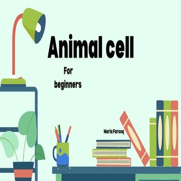 Animal cell for beginners | PPT