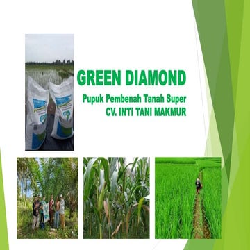 24* pupuk mutiara new Green Diamond.pptx