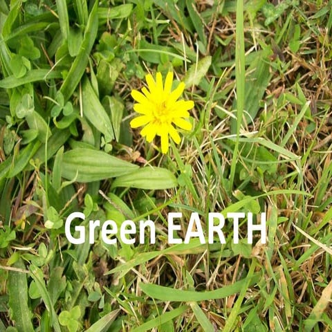 Green Earth | PPT