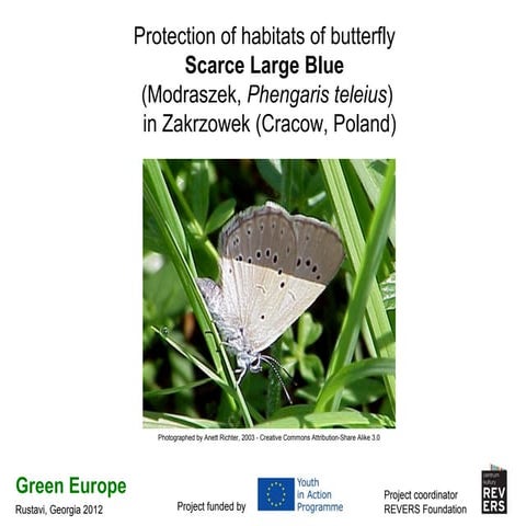 Protection of habitats of butterfly Scarce Large Blue | PPT