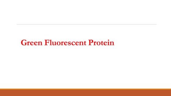 Green Fluorescent Protein.ppt | Biotech and Biomedical Industry ...