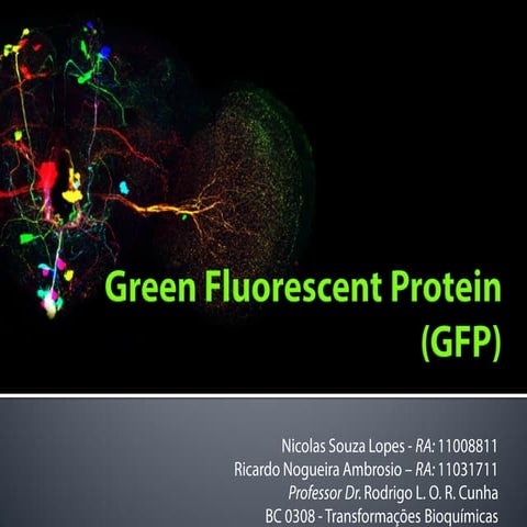 Green fluorescent protein (gfp) | PDF
