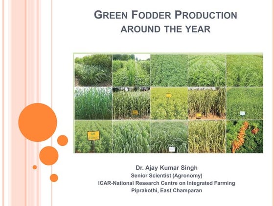ENHANCING FODDER PRODUCTION | PPT | Agriculture | Industries