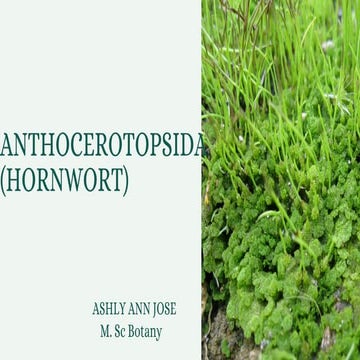 Structure, reproduction, life history and systematic position of ...