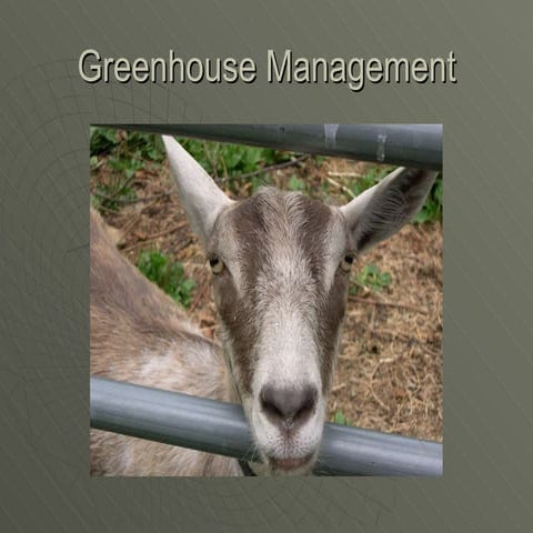 Greenhouse management | PPT