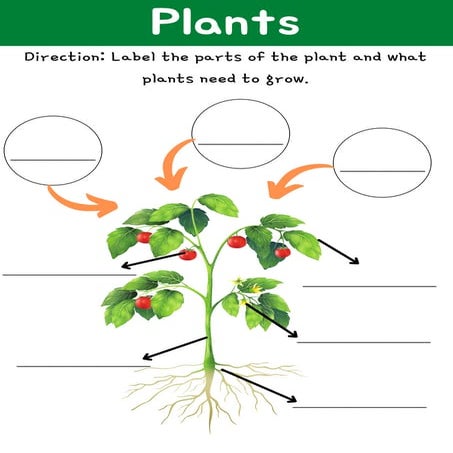 Plant Parts Science Worksheet.pdf