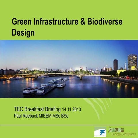 Green Infrastructure | PPTX