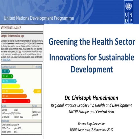 Greening the Health Sector - Innovations for Sustainable Development ...