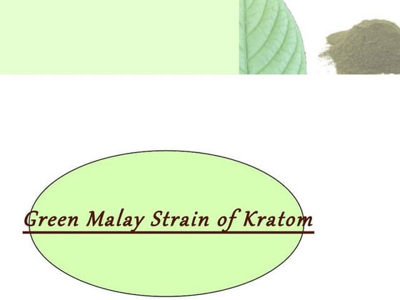The different forms of Kratom | PPT