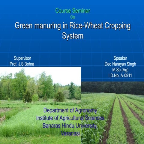Green Manuring and its effects in crops and cropping system | PPT