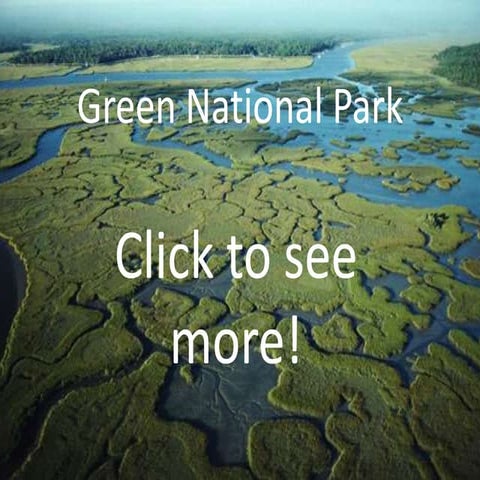 Green national park | PPTX