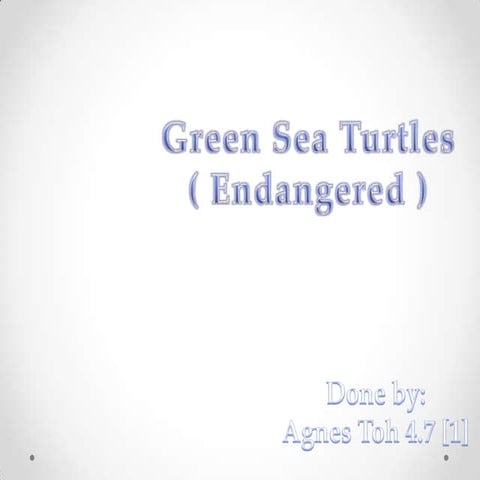Green sea turtle | PPTX