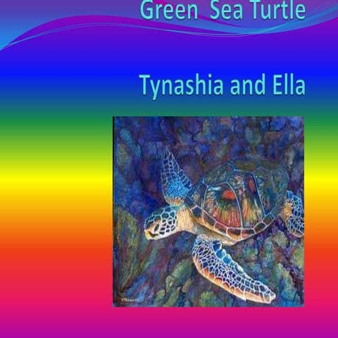 Hawaiian green turtle | PPTX