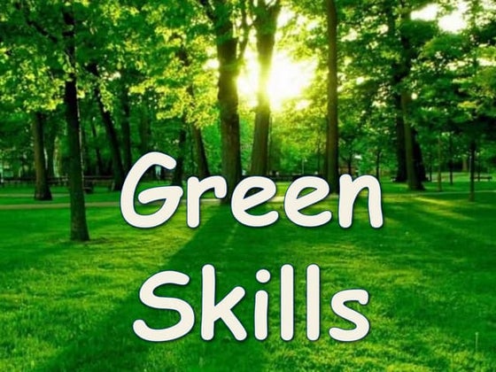 Cyber ethics(CBSE Class X), Computer Application | PPTX | Internet Safety | Parenting