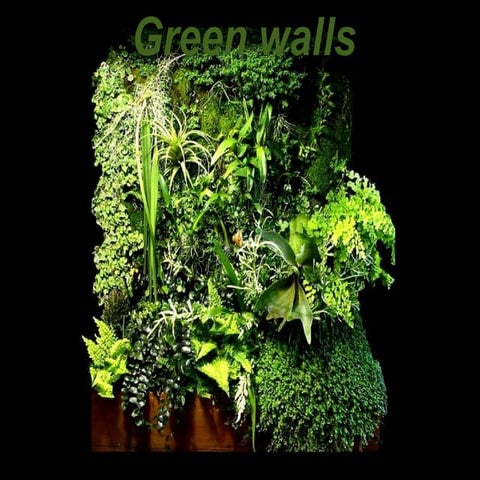 Green walls | PPSX