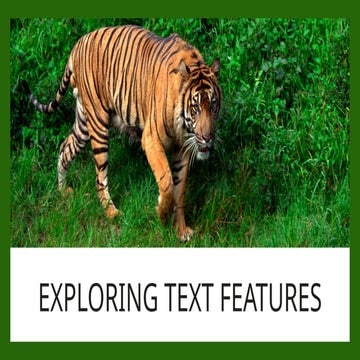 Green White Clean Digital Text Features About Tigers Education ...