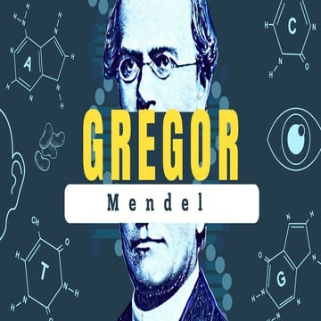 sea animals flash cards to read and learn | PDF