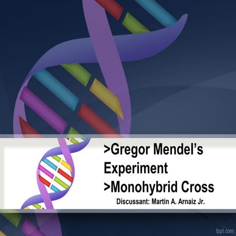 Gregor Mendel's Experiment and Monohybrid Cross | PPT