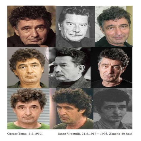 Gregor Tomc - Janez Vipotnik | PDF