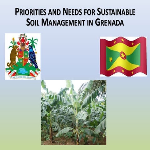Priorities and Needs for Sustainable Soil Management in Grenada ...