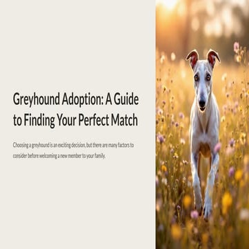 Greyhound Adoption: A Guide to Finding Your Perfect Match | PDF