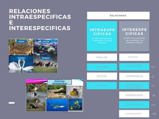Relaciones entre los seres vivos | PPTX