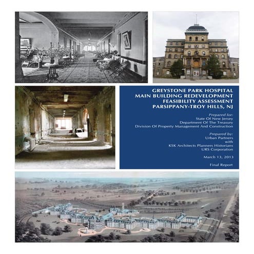 Greystone feasibility assessment report (final) | PDF | Civil ...
