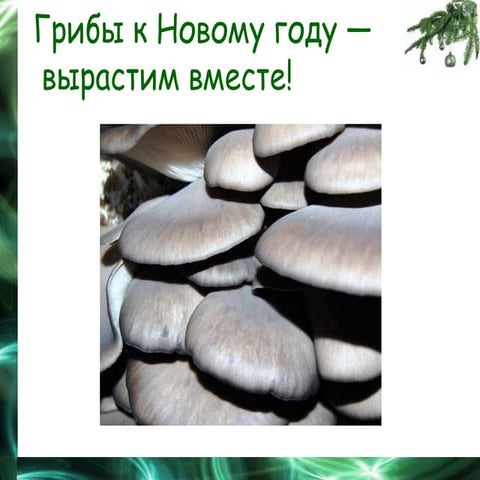 Gribi for-new-year-1-miceli | PPT