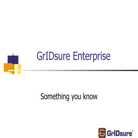 Gr I Dsure Enterprise Remote Access (Jc 25 Apr09) | PPT