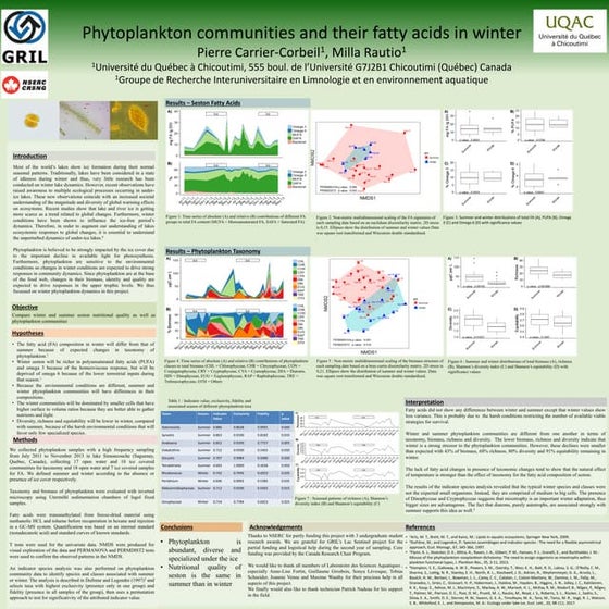 GSS poster final Stenka Vulova | PPT