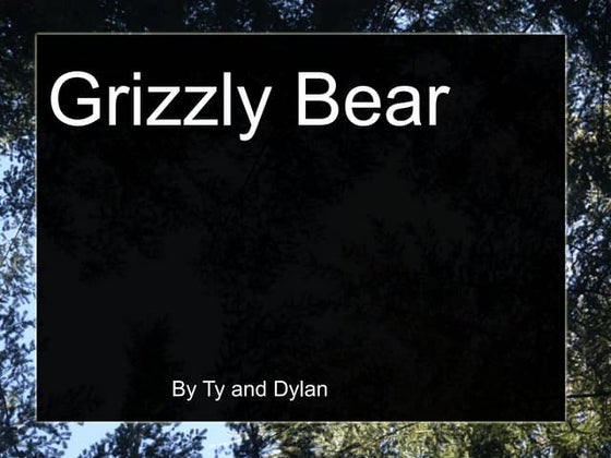Brown Bear | PPT
