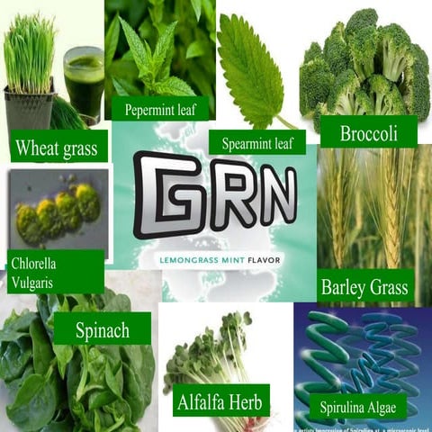 Grn ppt | PPT