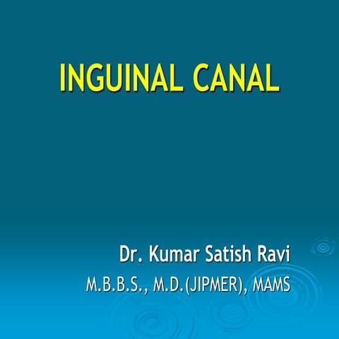 Groin anatomy inguinal hernia clinical anatomy | PPT