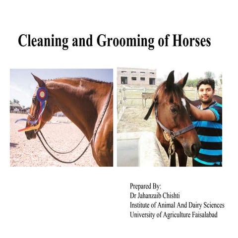 Grooming and Cleaning of farm animals.pptx
