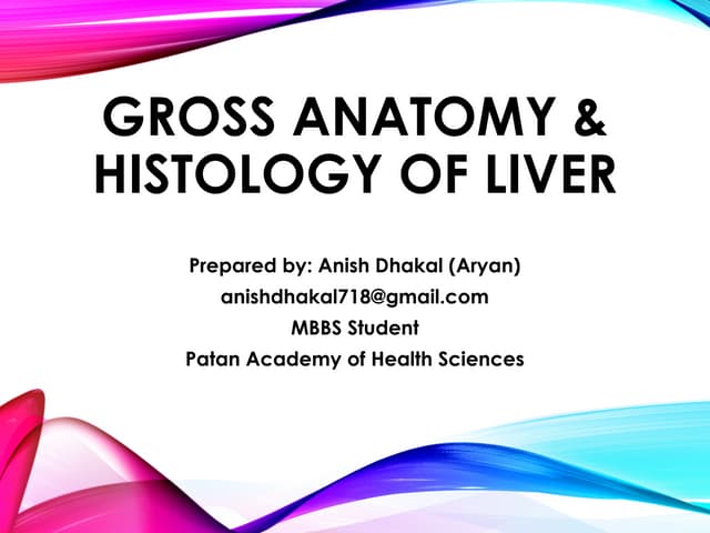 Gross Anatomy And Histology Of Liver Ppt