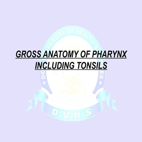 Anatomy of tonsil and oropharynx | PPTX