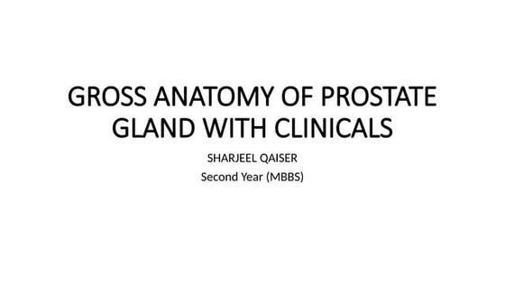 Prostate gland | PPTX