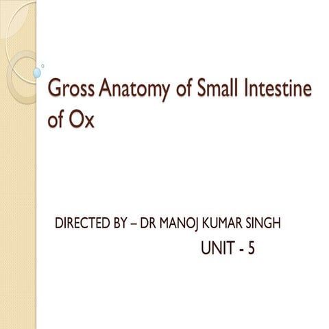 Jejunum and Ileum.pptx.................... | PPTX