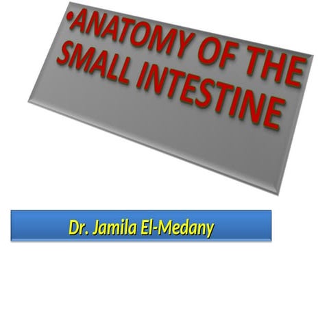 GROSS ANATOMY OF THE DUODENUM FOR MEDICAL STUDENTS.ppt