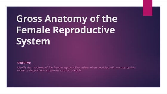 Biology Subject for High School Human Reproduction by Slidesgo.pptx