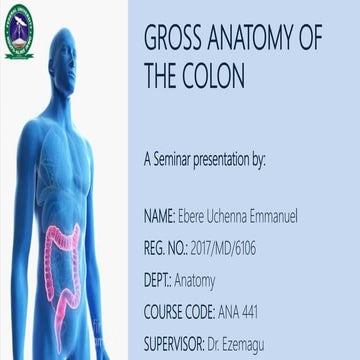 A seminar presentation on gross anatomy of the large intestine | PPTX