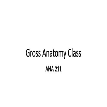 Gross Anatomy slides updated.pptx0000000 | PPTX